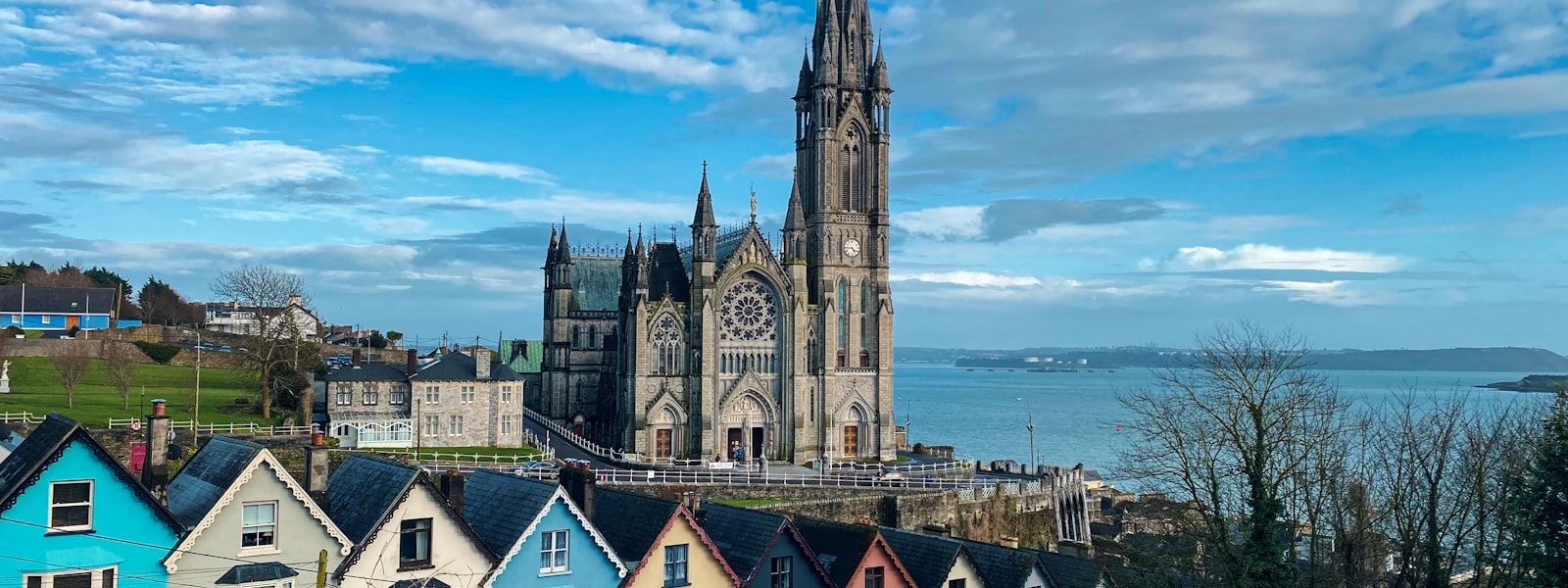 Cultura Canina en Ireland | Dogfluence