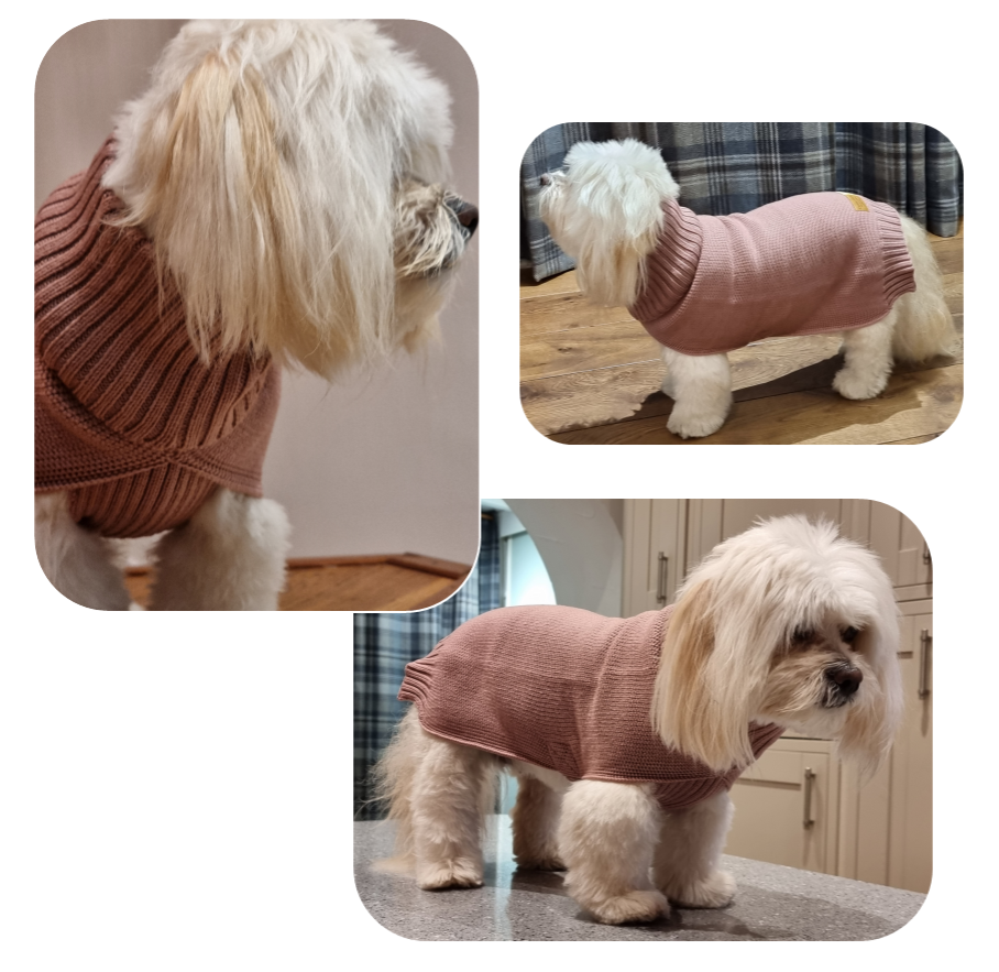 The Charlie Dog Jumper | Canine & Co | Dogfluence